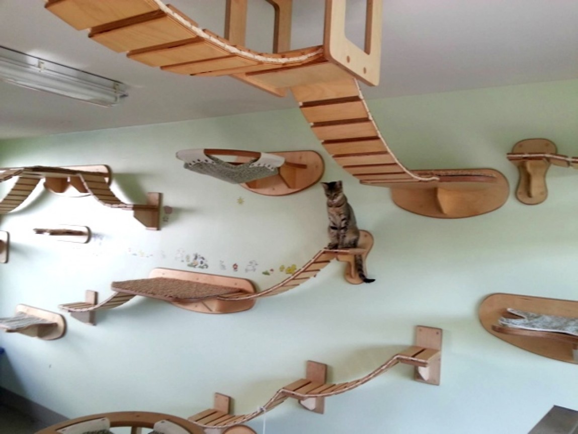 22 Cozy Furniture Ideas For Your Beloved Cat