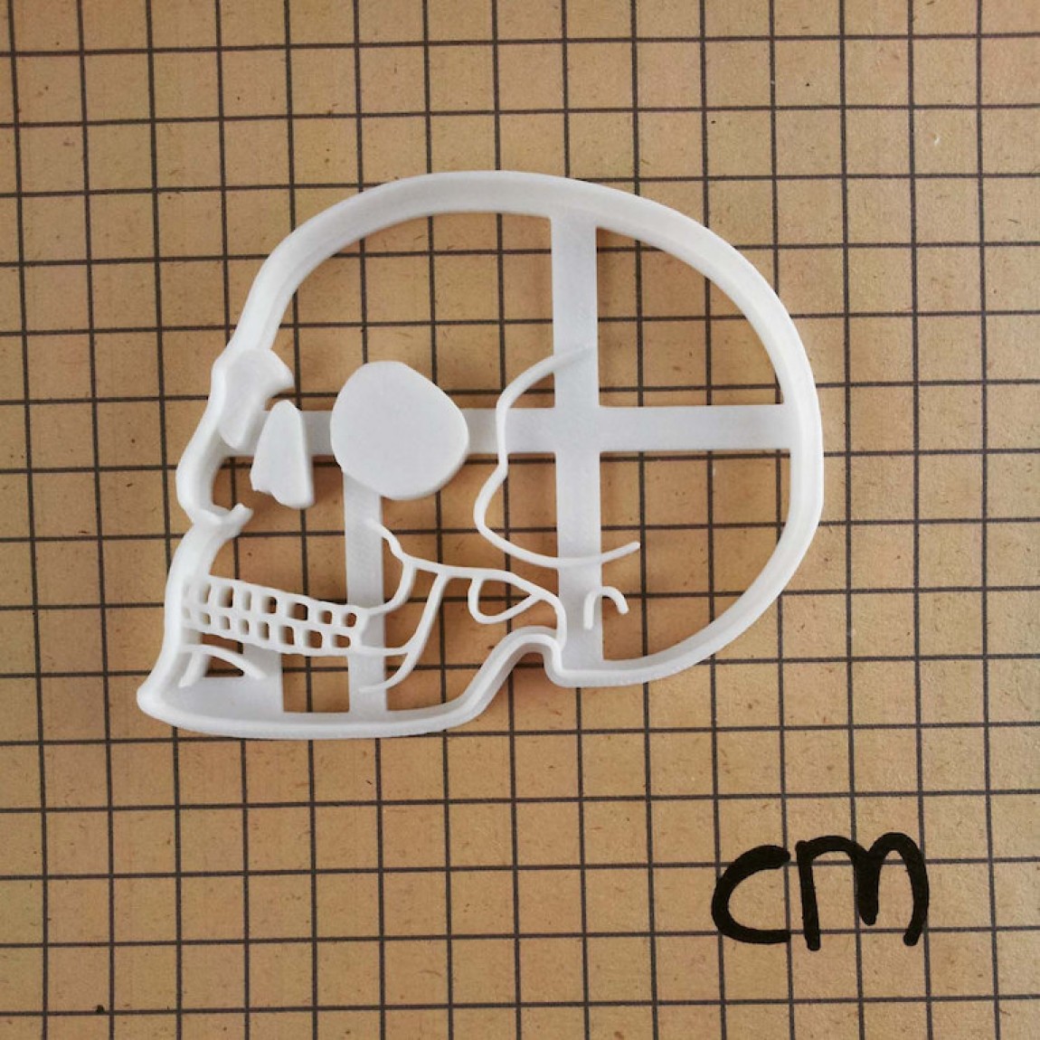 Have A 'Spooktacular' Halloween With These Anatomical Human Skull ...