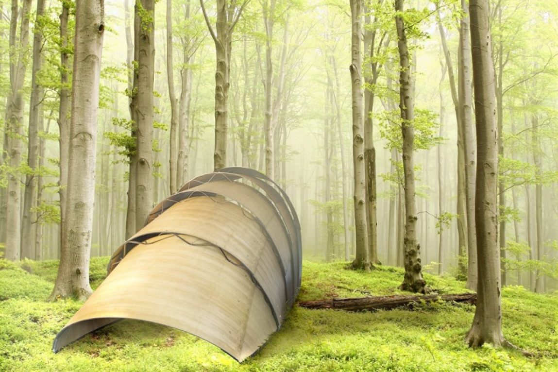 Tea Canopy Inspired By The Armadillo