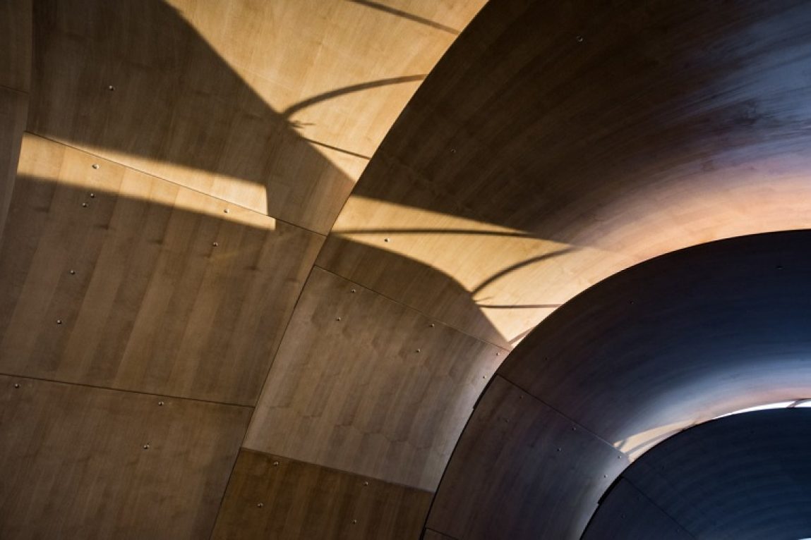 Tea Canopy Inspired By The Armadillo